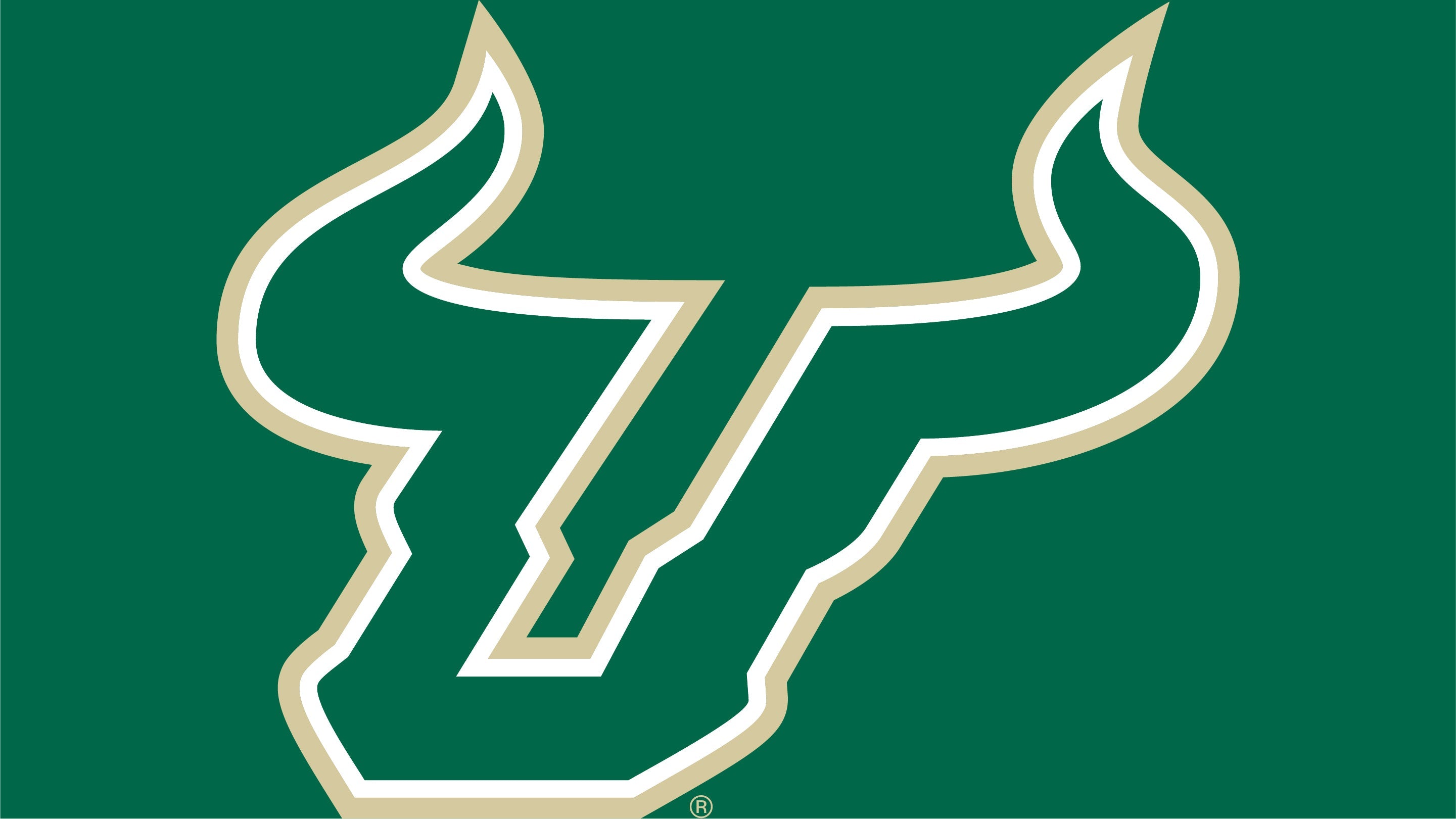 South Florida Bulls