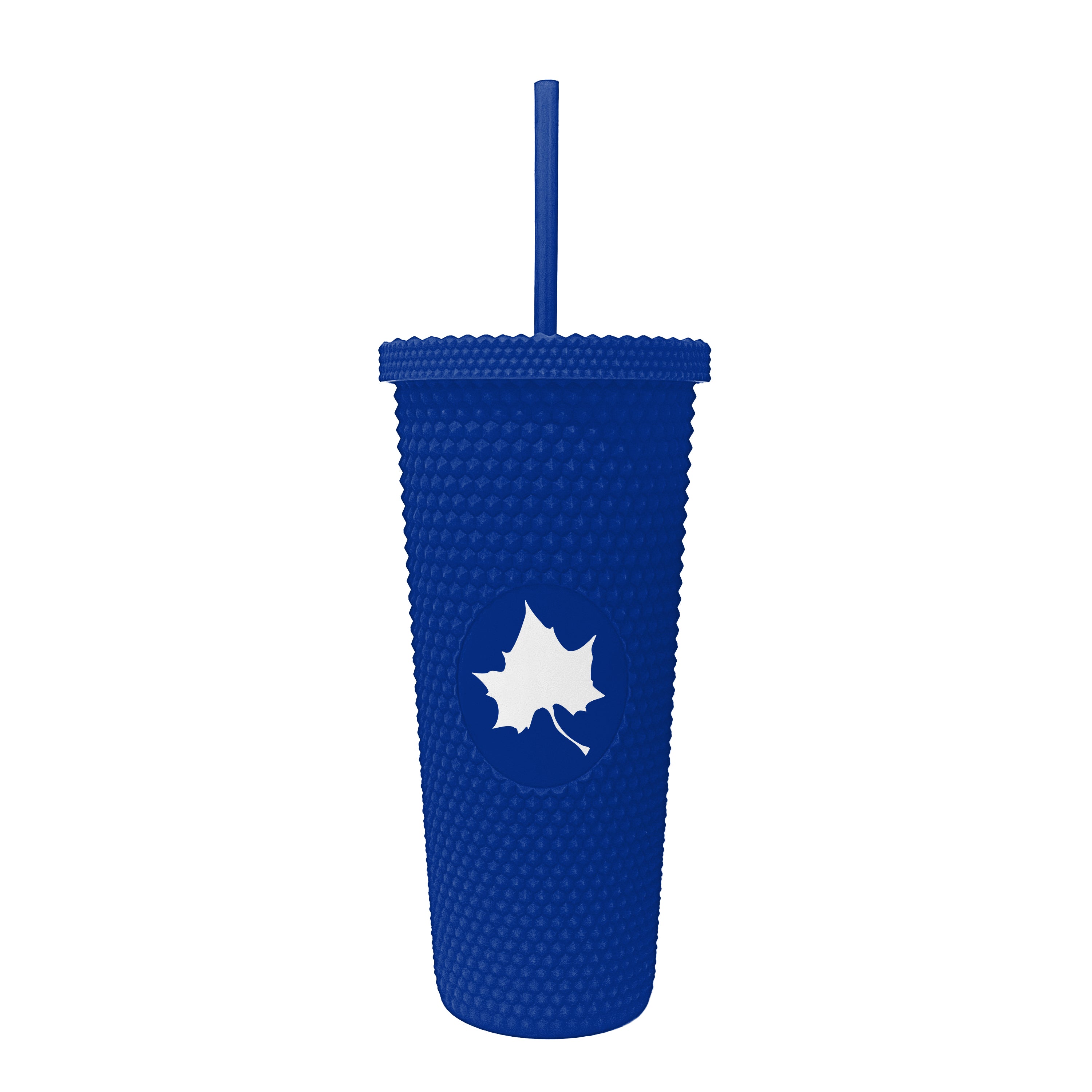 Indiana State 24oz Studded Tumbler | Logo Brands